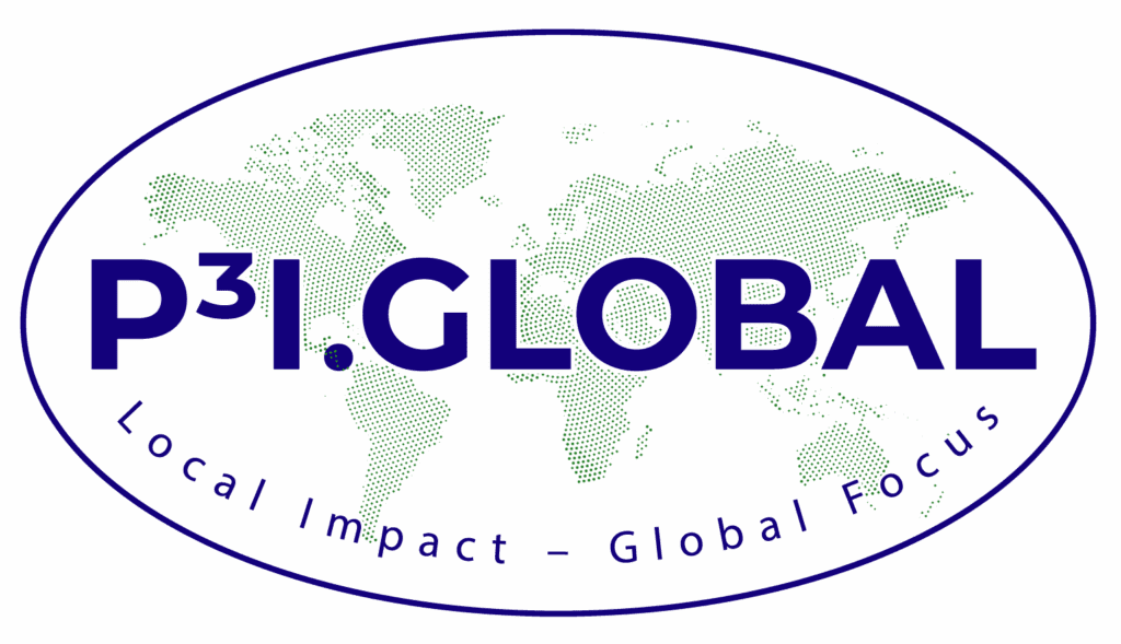 Sustainable Development Consulting Firms | P3I.GLOBAL